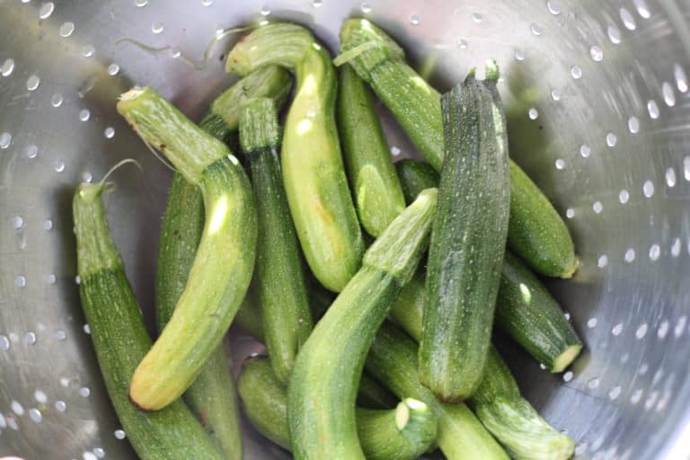 The Best Baby Zucchini Recipe ~ Roasted with Parmesan & Rosemary ...