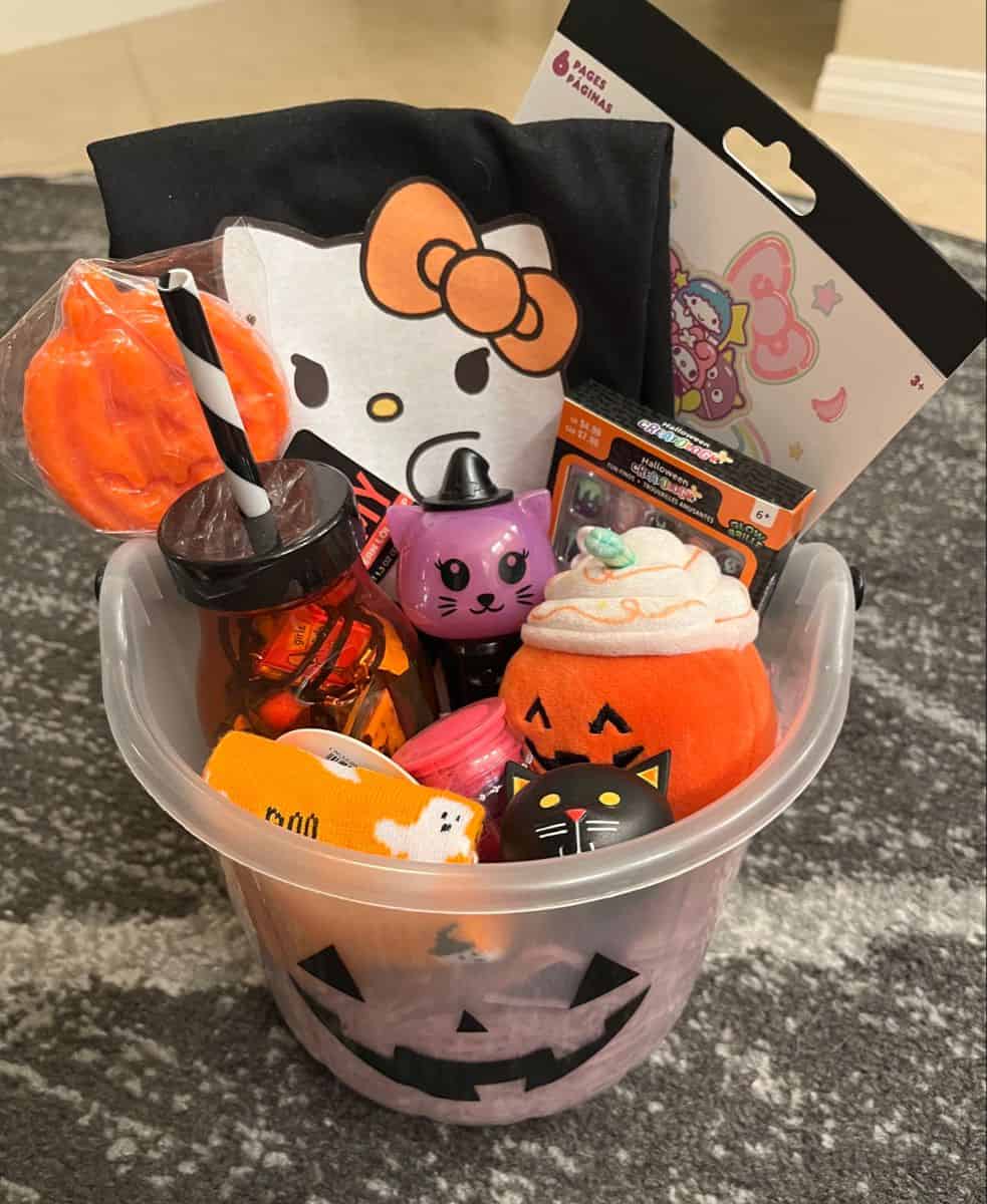 20 Fall Boo Basket Ideas - Hairs Out of Place