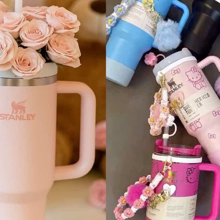 15 Easy and Creative Stanley Cup Gift Ideas - Hairs Out of Place