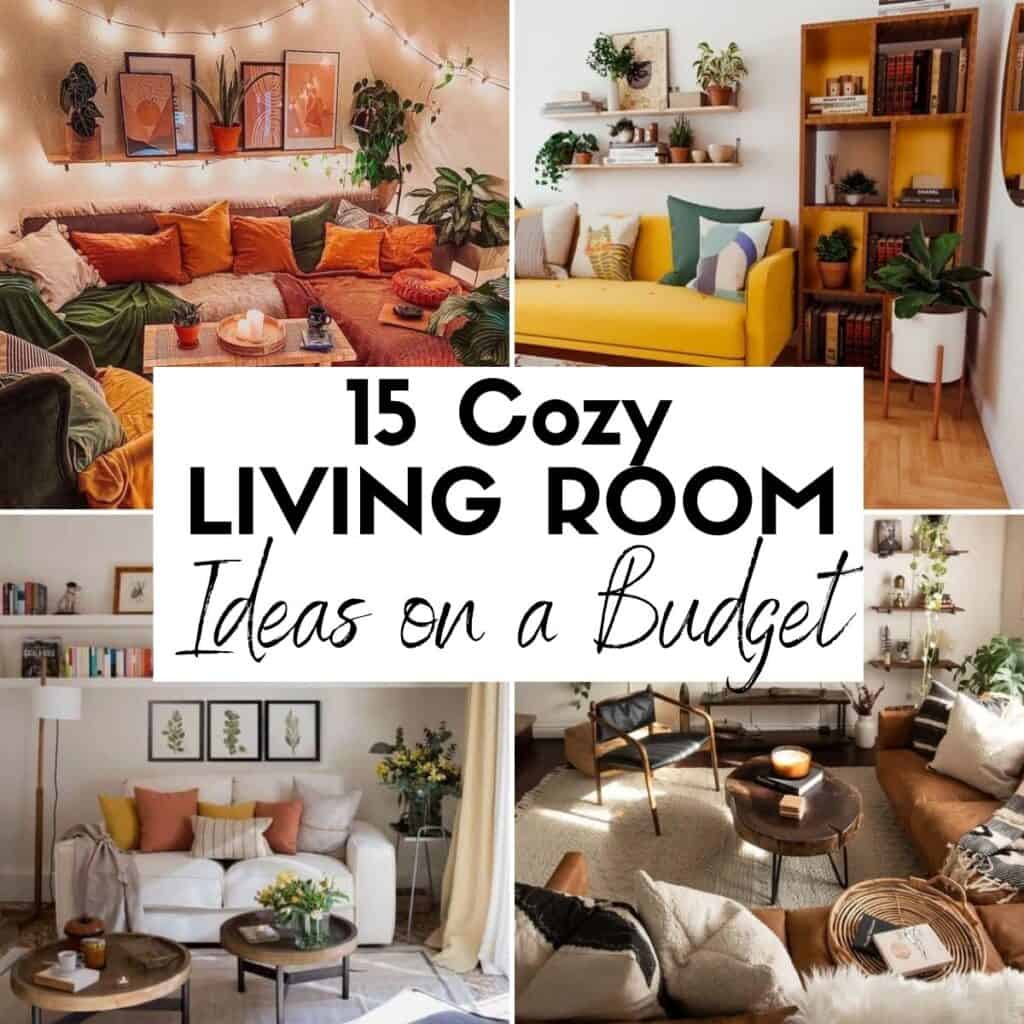 15 Cozy Living Room Ideas on a Budget - Hairs Out of Place
