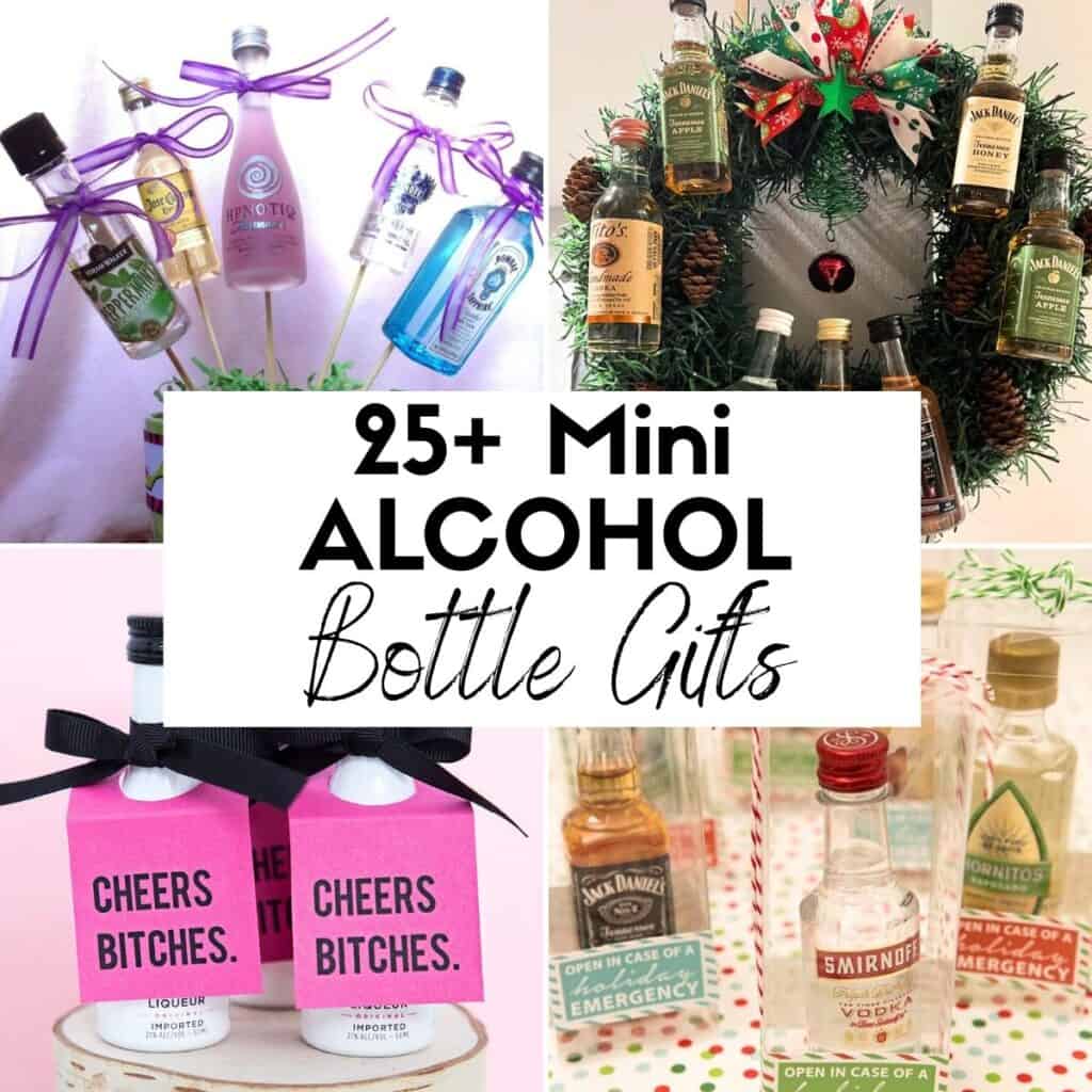 25+ Mini Alcohol Bottle Gifts - Hairs Out of Place